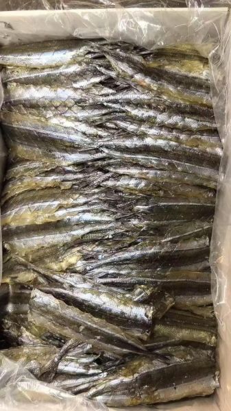 马步鱼为什么这么贵_马步鱼多少钱一斤-第3张图片-山城妙识