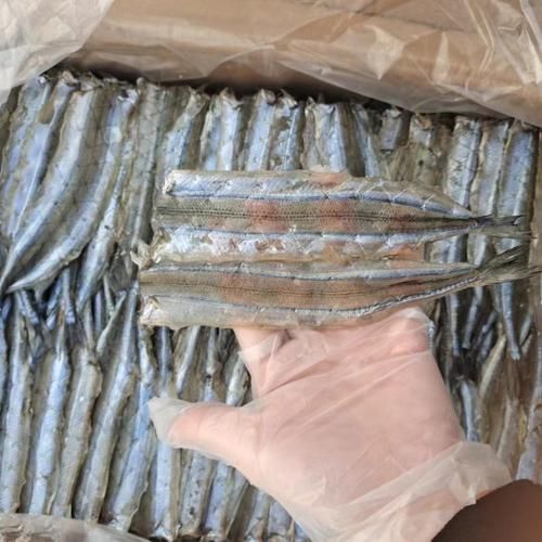 马步鱼为什么这么贵_马步鱼多少钱一斤-第1张图片-山城妙识