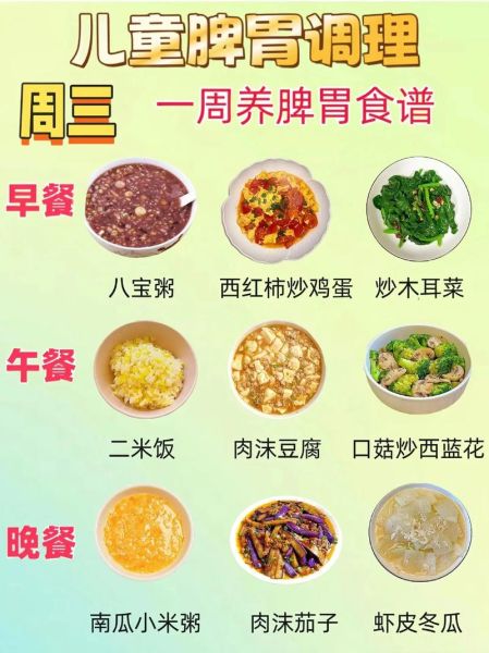 家庭营养餐食谱大全_一周三餐怎么搭配-第3张图片-山城妙识