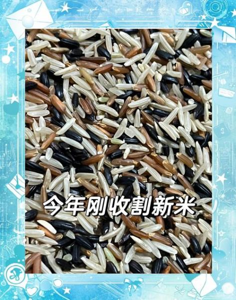 三色糙米是什么米_三色糙米和糙米的区别-第3张图片-山城妙识