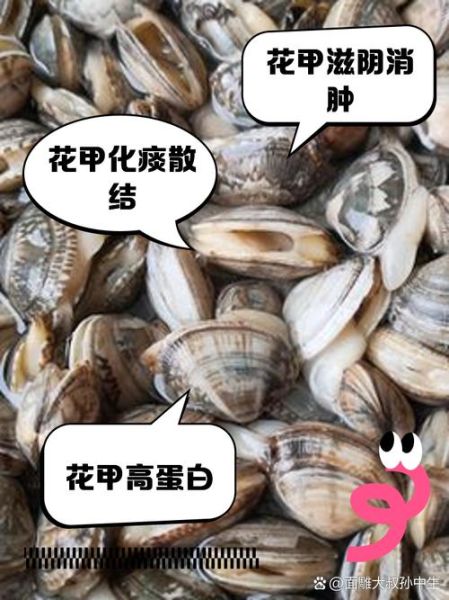 花甲对男性性功能好吗_男人吃花甲的好处有哪些-第1张图片-山城妙识 花甲对男性性功能好吗_男人吃花甲的好处有哪些-第1张图片-山城妙识