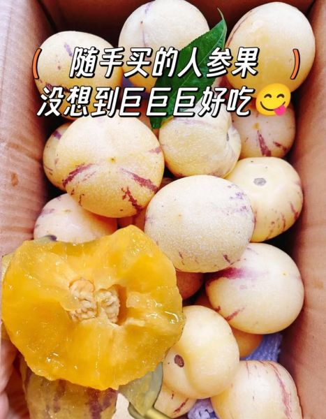 人参果怎么吃才好吃_人参果的吃法大全-第2张图片-山城妙识 人参果怎么吃才好吃_人参果的吃法大全-第2张图片-山城妙识