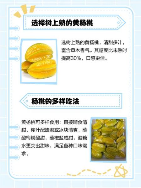 杨桃怎么吃好吃又简单_杨桃的正确吃法-第2张图片-山城妙识 杨桃怎么吃好吃又简单_杨桃的正确吃法-第2张图片-山城妙识