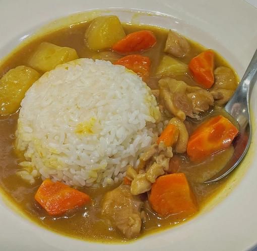 咖喱土豆鸡怎么做_咖喱土豆鸡的家常做法-第2张图片-山城妙识