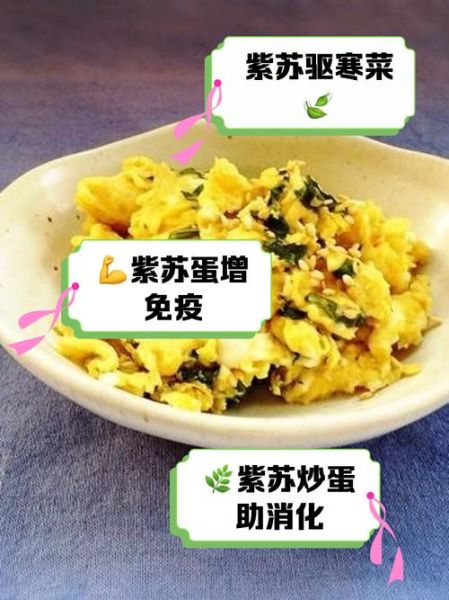 苏子叶炒鸡蛋怎么做_苏子叶炒鸡蛋的营养价值-第1张图片-山城妙识