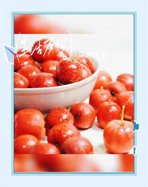 山楂粉的功效与作用_山楂粉的正确吃法-第2张图片-山城妙识