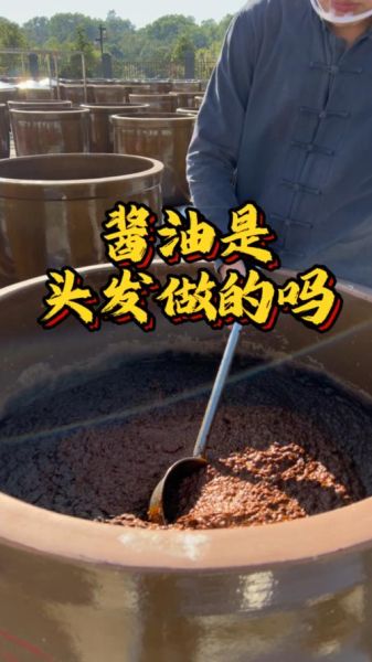头发酱油怎么做_头发酱油的制作方法-第1张图片-山城妙识