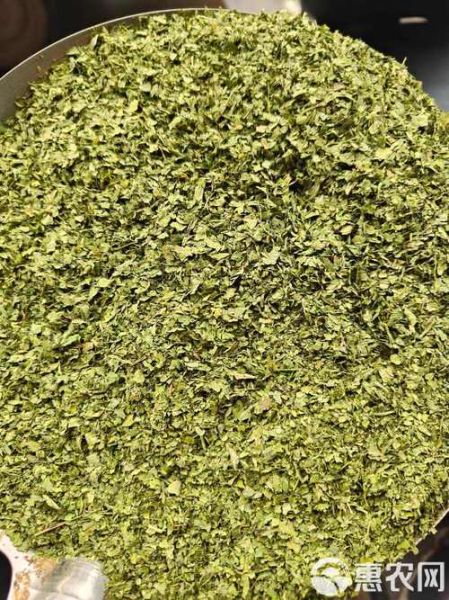 欧芹和罗勒的区别_哪个更适合做意面-第1张图片-山城妙识