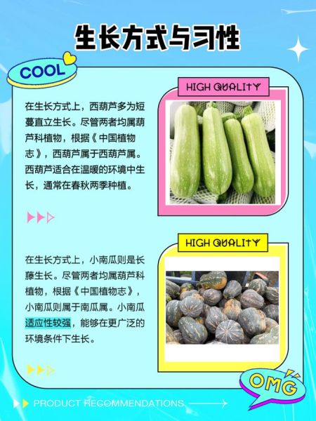 西葫芦和茭瓜的区别_哪个更好吃-第1张图片-山城妙识 西葫芦和茭瓜的区别_哪个更好吃-第1张图片-山城妙识