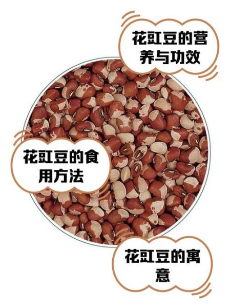 花豇豆的功效与作用_花豇豆怎么吃最养肾-第1张图片-山城妙识