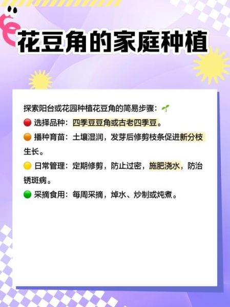 花豇豆的功效与作用_花豇豆怎么吃最养肾-第2张图片-山城妙识