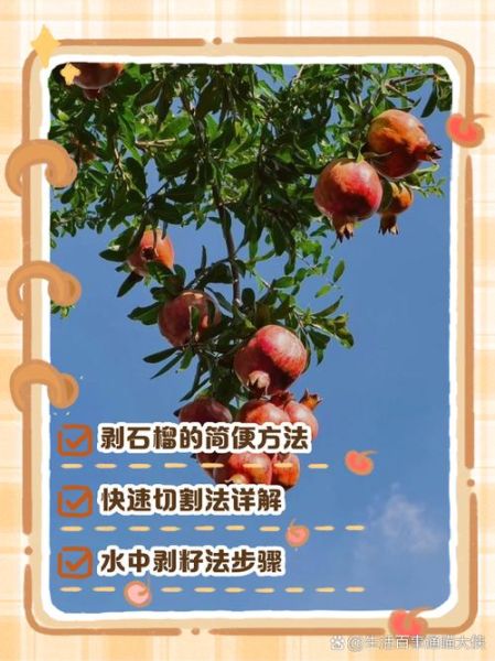 怎样剥石榴_石榴怎么剥最快-第3张图片-山城妙识 怎样剥石榴_石榴怎么剥最快-第3张图片-山城妙识
