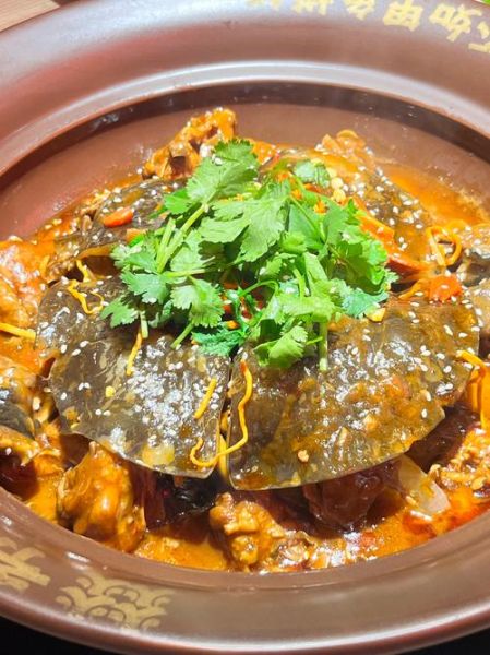 甲鱼怎么做才好吃_清炖甲鱼汤的家常做法-第3张图片-山城妙识