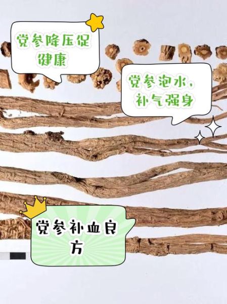 党参可以天天泡水喝吗_长期饮用注意事项-第1张图片-山城妙识