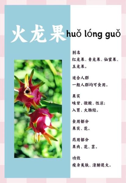 火龙果的功效与作用_火龙果怎么吃最减肥-第2张图片-山城妙识