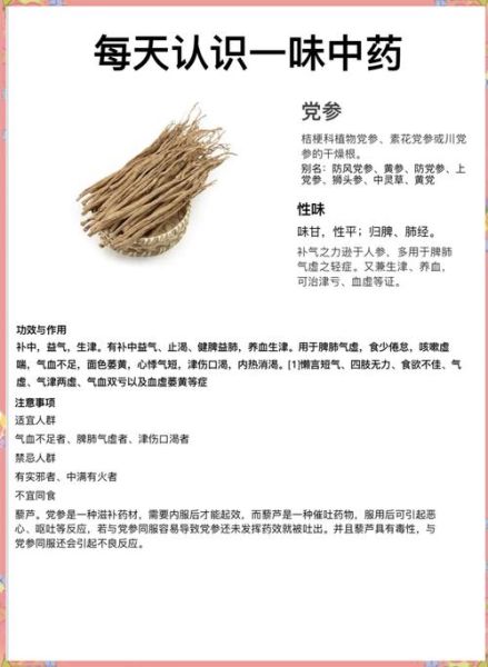 党参可以天天泡水喝吗_长期饮用注意事项-第2张图片-山城妙识