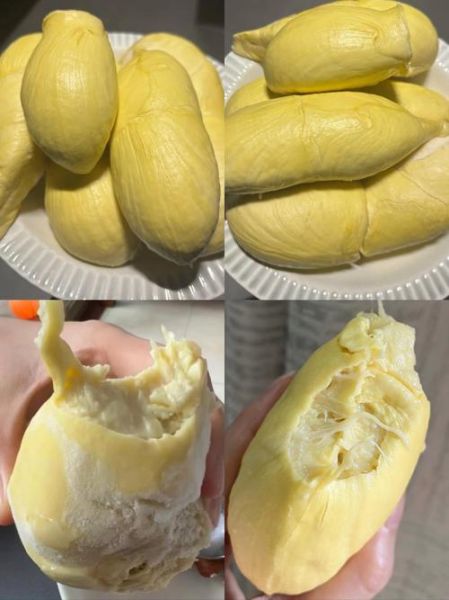 榴莲女人吃了补哪里_女人吃榴莲补气血还是子宫-第1张图片-山城妙识 榴莲女人吃了补哪里_女人吃榴莲补气血还是子宫-第1张图片-山城妙识