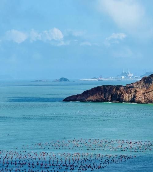 海涂是什么意思_海涂和滩涂有什么区别-第1张图片-山城妙识