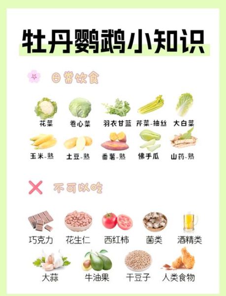 牡丹鹦鹉寿命有多长_如何延长牡丹鹦鹉寿命-第1张图片-山城妙识