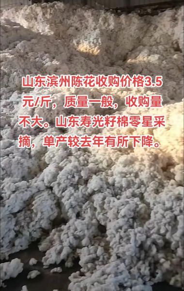 棉花价格最新行情_今日棉花多少钱一吨-第2张图片-山城妙识