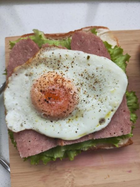 火腿煎蛋怎么做_火腿煎蛋几分钟熟-第1张图片-山城妙识