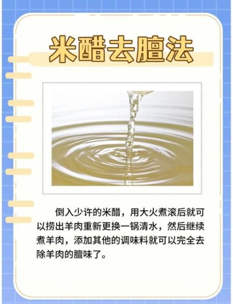 羊肉怎么去膻味_羊肉去膻味用什么调料-第1张图片-山城妙识