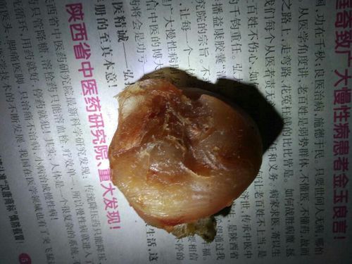 真正的鱼宝长什么样_鱼宝图片真假辨别-第2张图片-山城妙识 真正的鱼宝长什么样_鱼宝图片真假辨别-第2张图片-山城妙识