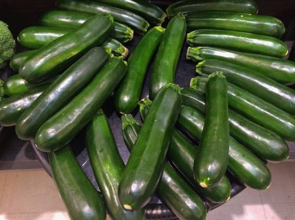 冬瓜照片大全图片_冬瓜怎么挑选新鲜-第2张图片-山城妙识