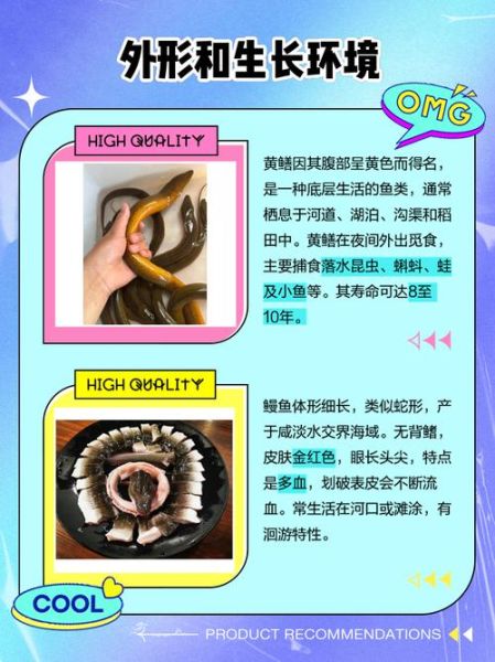 白鳝和黄鳝的区别_哪个更好吃-第2张图片-山城妙识