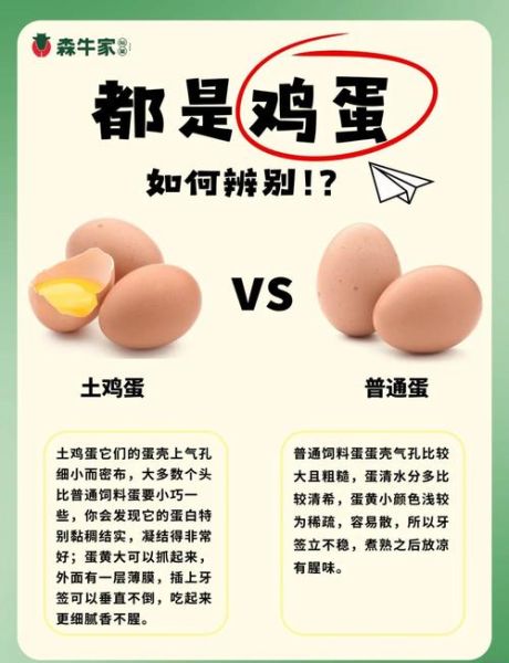 假鸡蛋怎么辨别_假鸡蛋真假辨别方法-第2张图片-山城妙识 假鸡蛋怎么辨别_假鸡蛋真假辨别方法-第2张图片-山城妙识