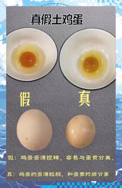 假鸡蛋怎么辨别_假鸡蛋真假辨别方法-第1张图片-山城妙识 假鸡蛋怎么辨别_假鸡蛋真假辨别方法-第1张图片-山城妙识