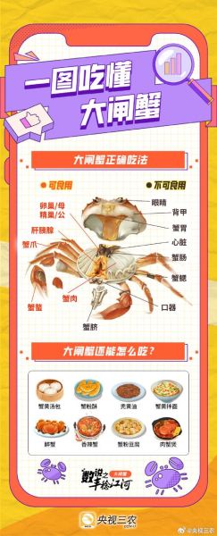 螃蟹哪里不能吃图解_高清图详解-第3张图片-山城妙识