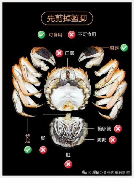螃蟹哪里不能吃图解_高清图详解-第2张图片-山城妙识