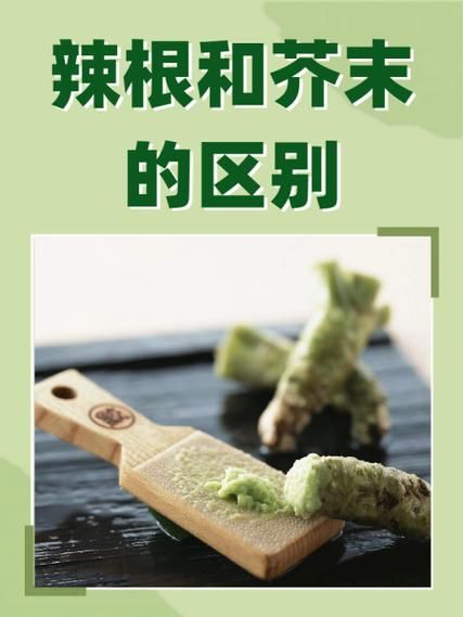 芥末是什么植物做的_芥末原料和辣根区别-第1张图片-山城妙识