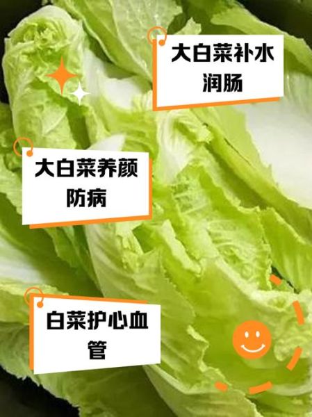 白菜的功效与作用及禁忌_什么人不能吃白菜-第2张图片-山城妙识