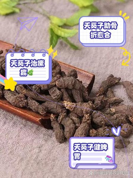 野生天葵的功效与作用_野生天葵怎么吃效果最好-第2张图片-山城妙识 野生天葵的功效与作用_野生天葵怎么吃效果最好-第2张图片-山城妙识