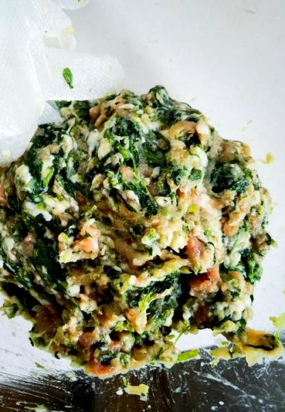 东北山野菜图片大全_哪些能放心吃-第1张图片-山城妙识