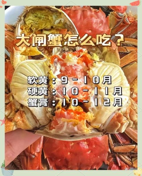 大闸蟹最佳时间是几月_什么时候吃最肥美-第2张图片-山城妙识 大闸蟹最佳时间是几月_什么时候吃最肥美-第2张图片-山城妙识