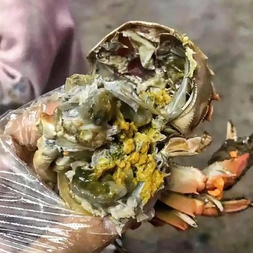 吃死螃蟹会中毒吗_死螃蟹中毒症状有哪些-第2张图片-山城妙识