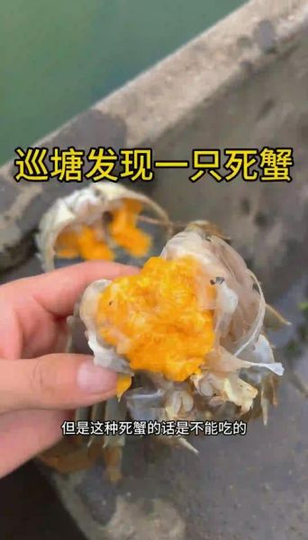 吃死螃蟹会中毒吗_死螃蟹中毒症状有哪些-第3张图片-山城妙识