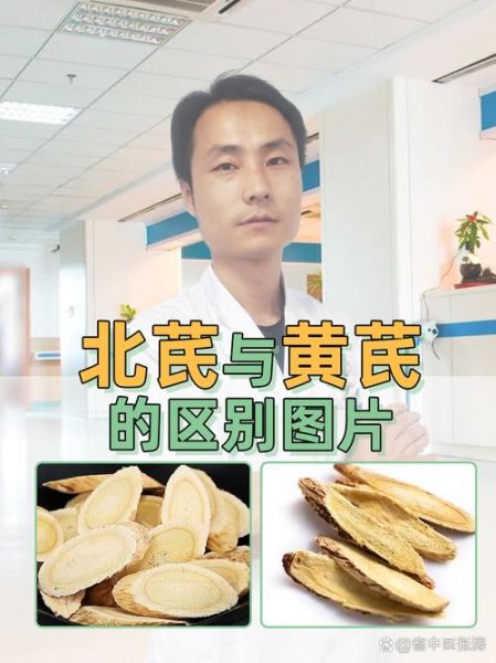 北芪图片长什么样_北芪真假如何辨别-第1张图片-山城妙识