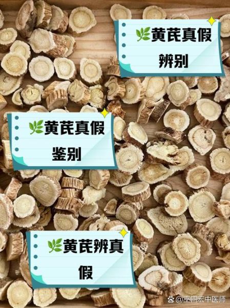 北芪图片长什么样_北芪真假如何辨别-第2张图片-山城妙识