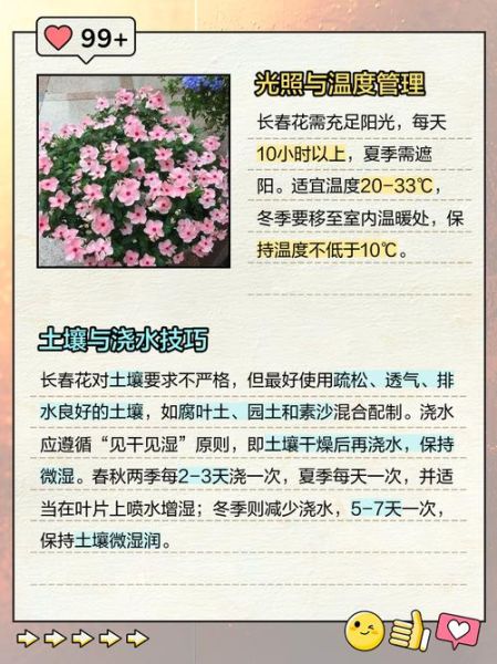 长春花怎么修剪_长春花修剪后多久开花-第2张图片-山城妙识 长春花怎么修剪_长春花修剪后多久开花-第2张图片-山城妙识