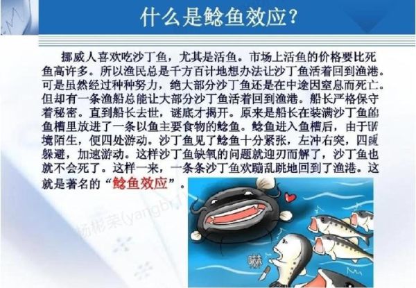 沙丁鱼游戏规则是什么_怎么玩才刺激-第2张图片-山城妙识 沙丁鱼游戏规则是什么_怎么玩才刺激-第2张图片-山城妙识