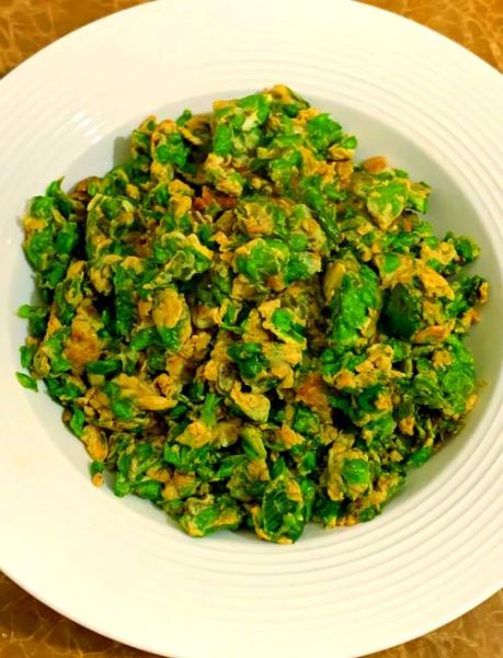 榆树钱的功效与作用_榆树钱怎么吃最好-第1张图片-山城妙识