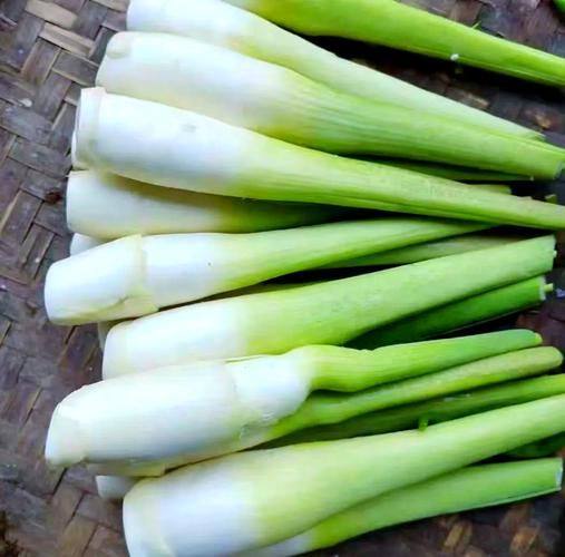 茭白怎么挑选_茭白怎么保存-第2张图片-山城妙识