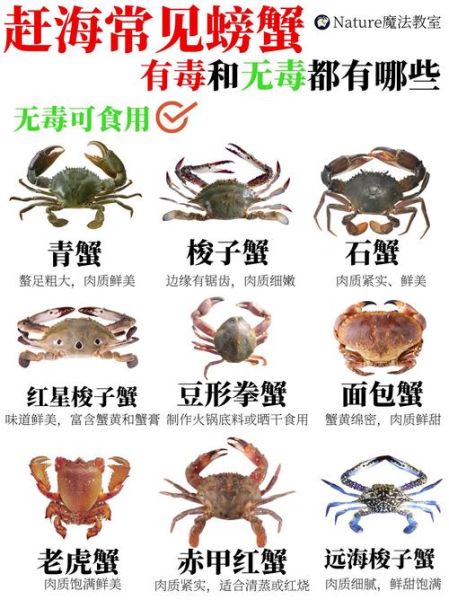 哪些螃蟹有毒_有毒螃蟹名单-第1张图片-山城妙识 哪些螃蟹有毒_有毒螃蟹名单-第1张图片-山城妙识