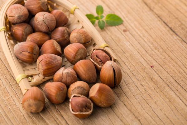 榛子图片与栗子区别_如何一眼分辨-第2张图片-山城妙识