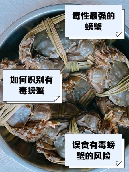 哪些螃蟹有毒_有毒螃蟹名单-第3张图片-山城妙识 哪些螃蟹有毒_有毒螃蟹名单-第3张图片-山城妙识