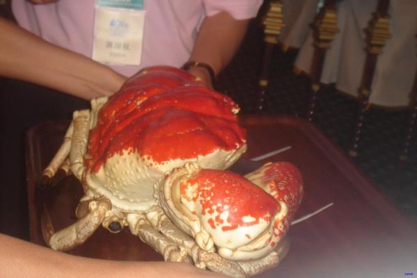 石头蟹和石蟹的区别_怎么区分石头蟹和石蟹-第3张图片-山城妙识